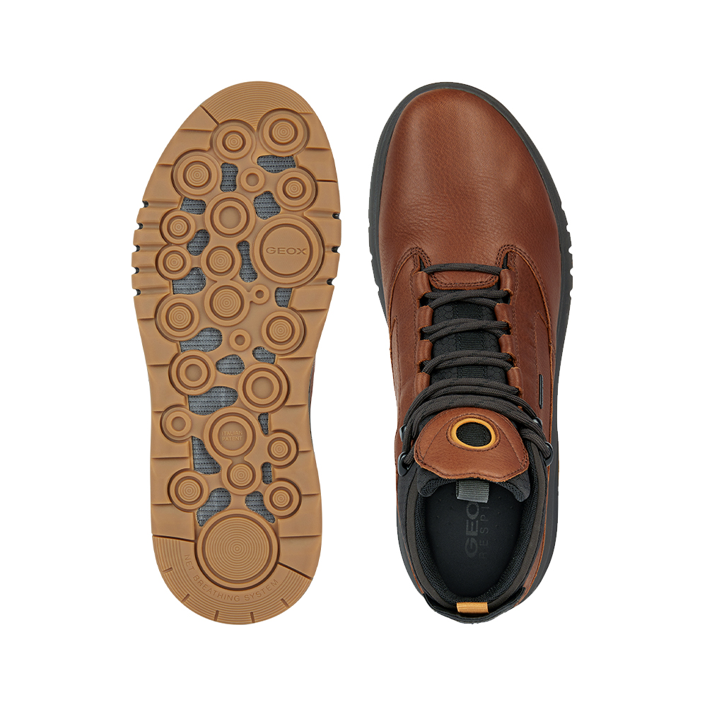 Geox Casual | Fratelli Petridi